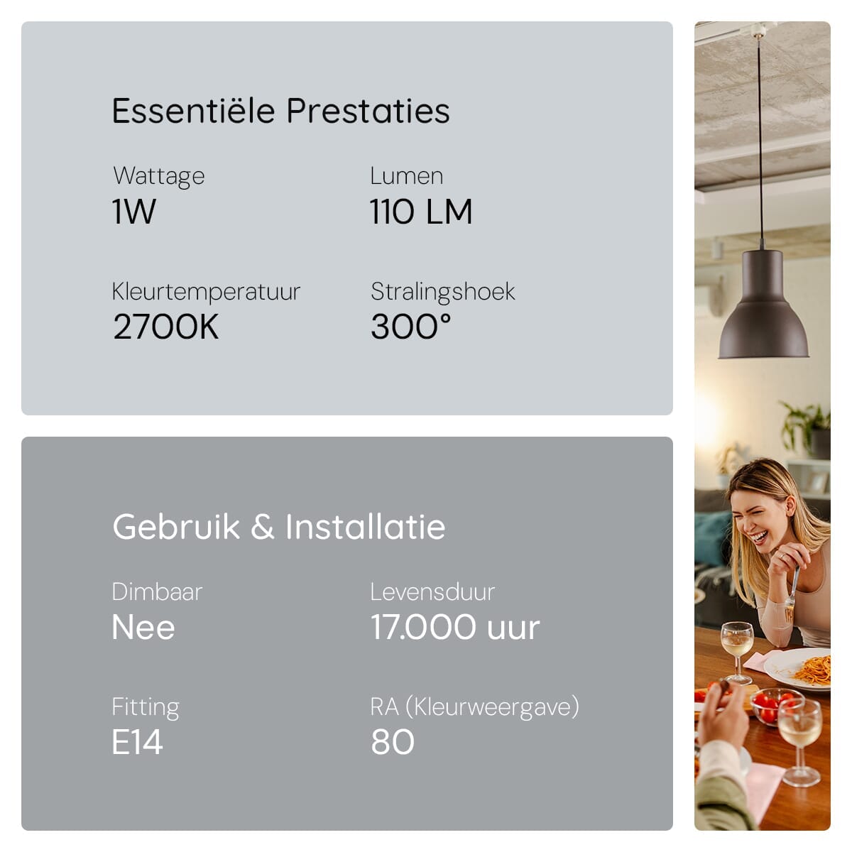 Spectrum LED Lamp E14 1W 230V - 110 Lumen - 2700K Warm wit - Gezellig ...